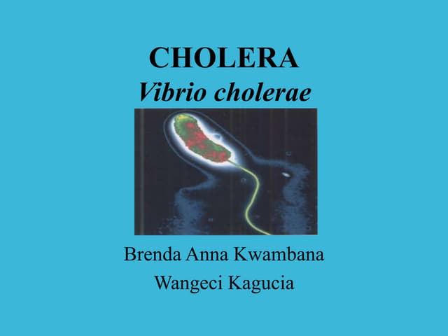 Vibrio cholerae | PPT