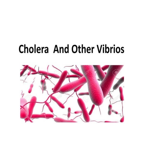Cholera and other vibrios | PPT