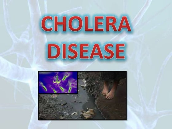 Cholera_Presentation_New "Understanding the Disease and How to Protect ...