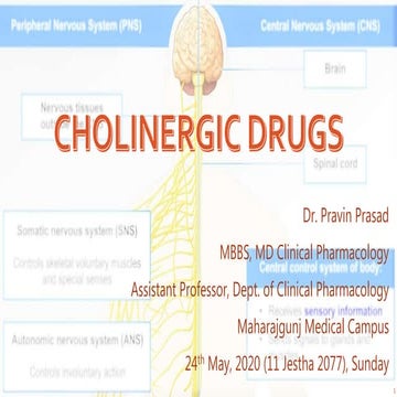Cholinergic drugs 2020 | PPTX