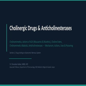 Overview of Cholinergic Drugs and Anticholinesterases in Pharmacology ...