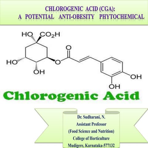 Chlorogenic acid (CGA): A potential Anti-obesity Phytochemical | PPTX ...