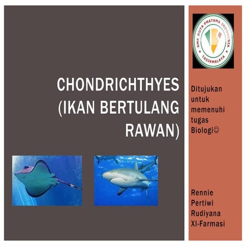 kelas Chondrichthyes (Smk Duta Pratama Indonesia) | PPTX