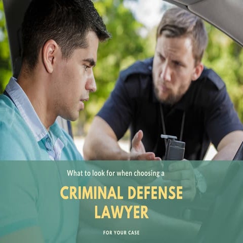 Introduction to Criminal Defense Lawyers.pdf