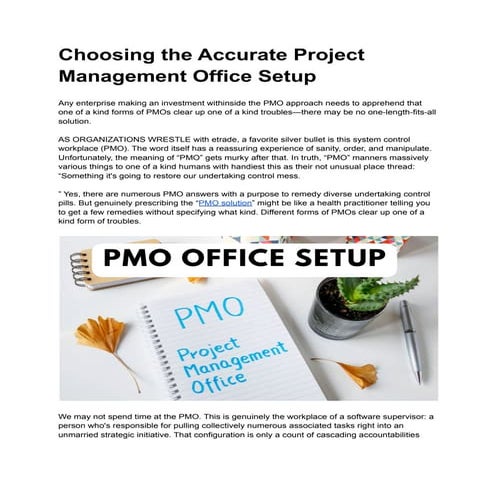 Choosing the Accurate Project Management Office Setup.pdf