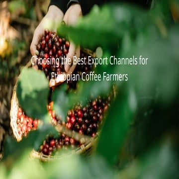 Choosing the Best Export Channels for Ethiopian Coffee Farmers.pptx