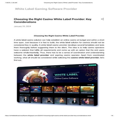 Choosing the Right Casino White Label Provider.pdf