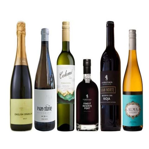 Choosing wine (English Hotel) | PPTX | Alcoholic Beverages | Food & Drink