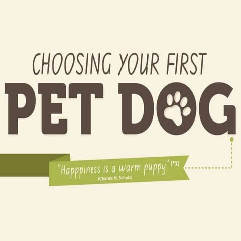 How To Choose Your Very First Pet Dog | PPTX