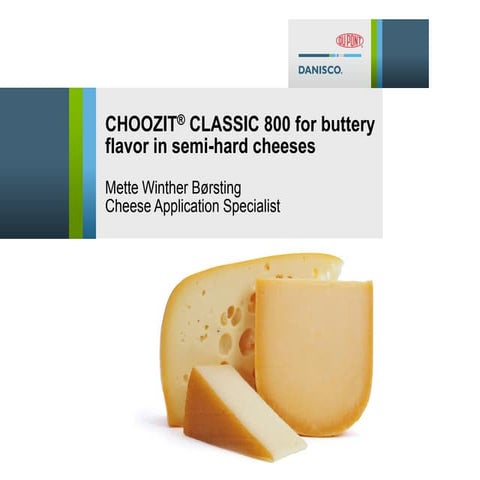 CHOOZIT® CLASSIC 800 for buttery flavor in semi-hard cheeses | PPT