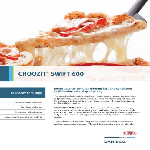 CHOOZIT ® SWIFT 600 | PDF