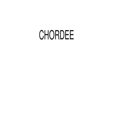 Chordee.EEEEEEEEEEEEEEEEEEEEEEEEEEEEEEEEEEEEEEEEEEEEEEEEEEEE | PPT