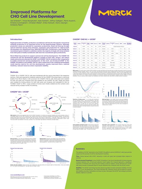 Improved vector design eases cell line development workflow in the ...