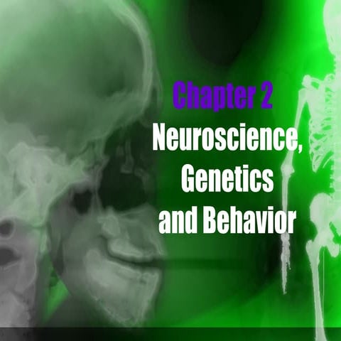 Neuroscience, Genetics and Behavior | PPT
