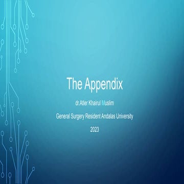 Chp 30 The Appendix.pptx