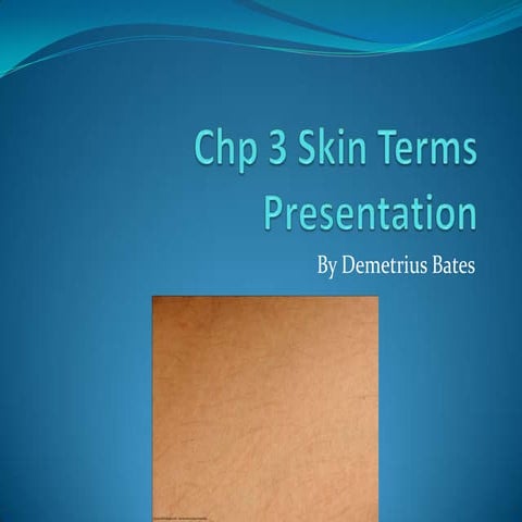 Chp 3 skin terms presentation | PPT