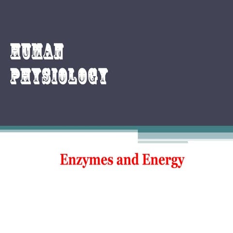 Enzymes and energy | PPT