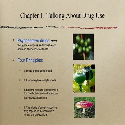 Drug and Alcohol Assessment | PPTX