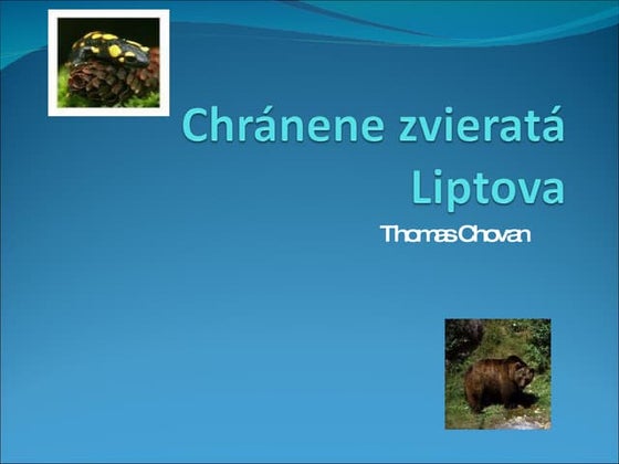 Chránené rastliny Liptova | PPT