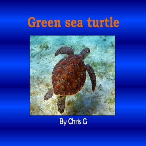 Green sea turtle | PPTX