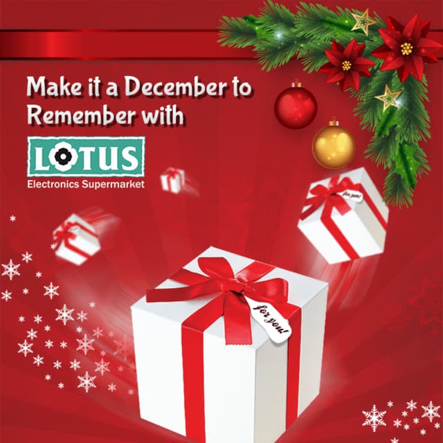 Christmas offer 2016 - Lotus Electronics | PDF
