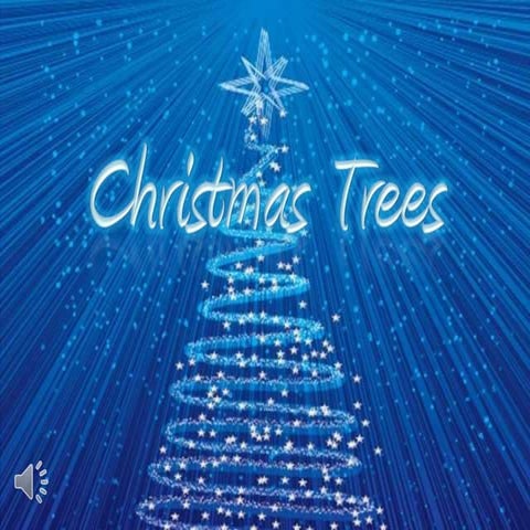 Christmas trees (v.m.) | PPT
