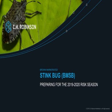 2019-2020 Stink Bug Season Presentation | PPT
