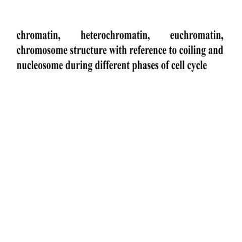 Chromatin and the cell cycle detail.pptx