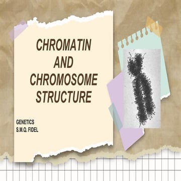 Overview on the Chromatin and Chromosome Structure.pdf