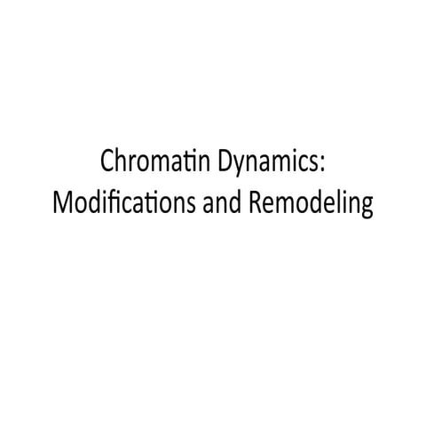 chromatin_dynamics.pptx dunics presentation and mainly impt | PPTX