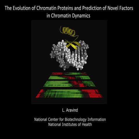 Brief Introduction Of Post Translational Modifications Ptms