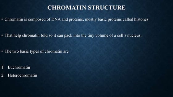 Eukaryotic chromosomal organization | PPT
