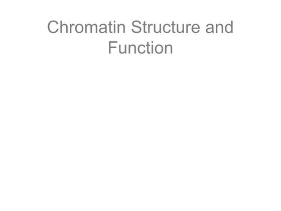 STRUCTURE AND ORGANIZATION OF CHROMATIN | DOC