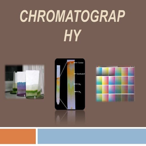 Chromatography | PPTX