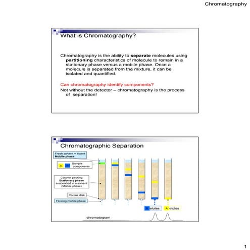 Chromatography | PDF