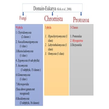 Chromista, fungal classification in pathology.pptx