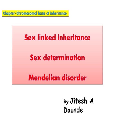 Chromosomal Basis Of Inheritance Ppt