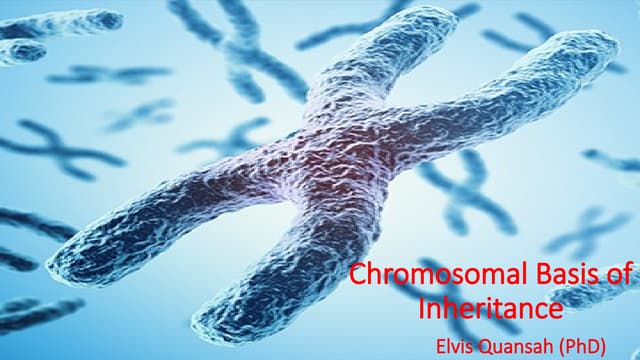 Advanced Genetics Chromosomal Basis Of Inheritance Copy Pptx