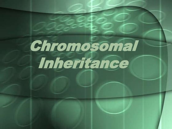 Sex Linked Inheritance Ppt 5454