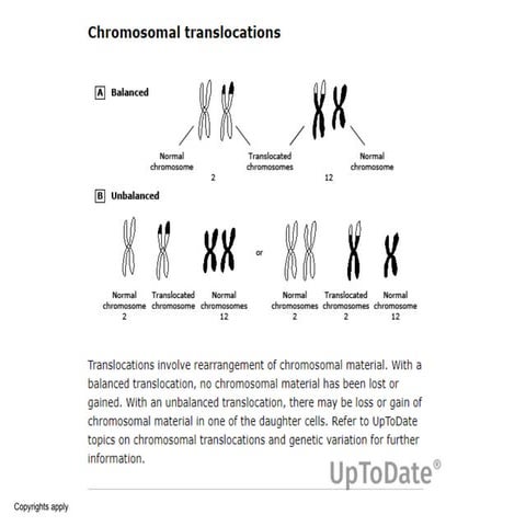 Chromosomal translocation mechanism.pptx