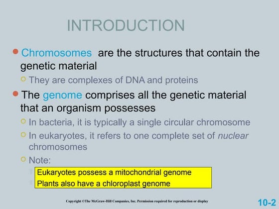 Various model of DNA replication | PDF