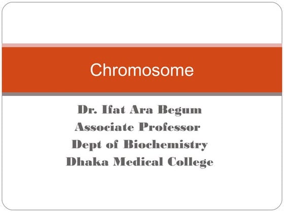 Chromosome Structure And Function Ppt