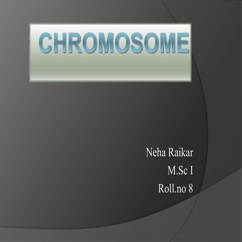 Chromosome | PPT