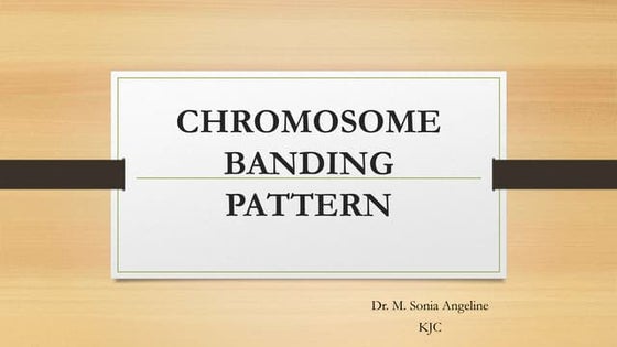 Chromosomal banding technique | PPT