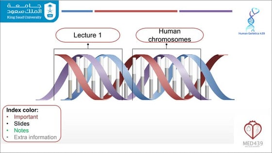Karyotype &idiogram | PPTX | Genetics | Science