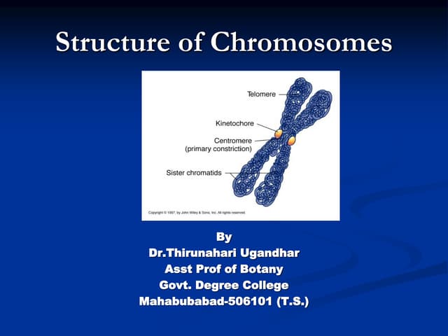 Chromosome | PPTX