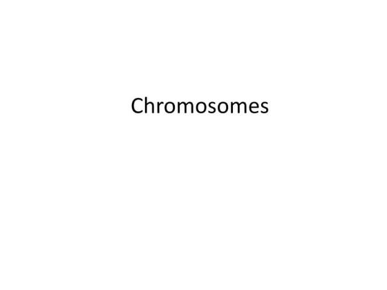 Basic structure of chromosome and its components | PPT