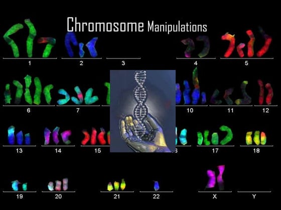 Mice as an experimental animal | PPT