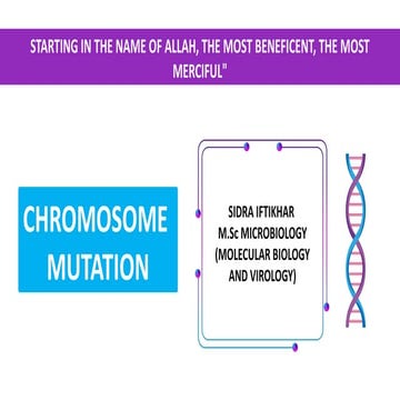 CHROMOSOME MUTATION: CHROMOSOME REARRANGEMENT, ANEUPLOIDY AND ...
