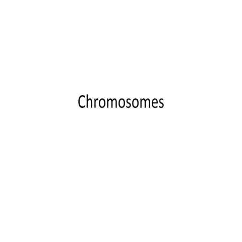 Chromosomes | PPTX